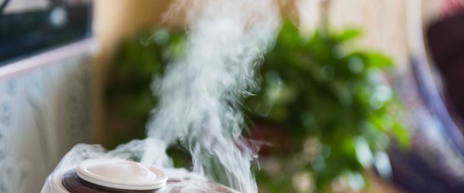 Does a vaporizer work with just water?